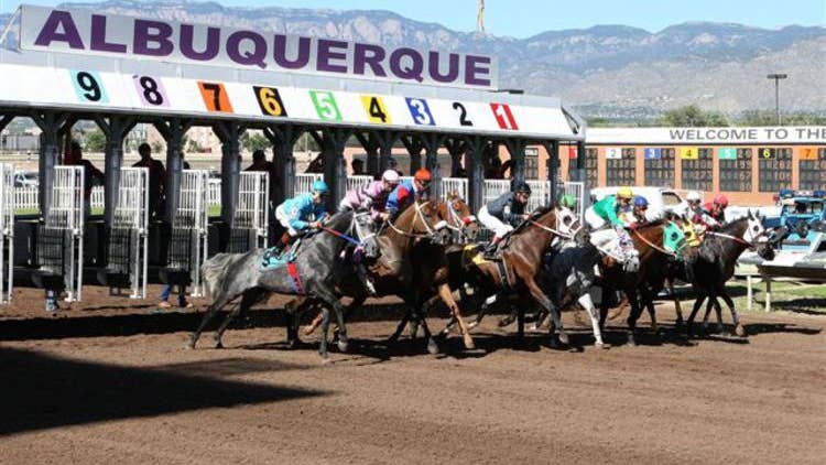 2025 champion quarter horse trainer summarily suspended after needles ...