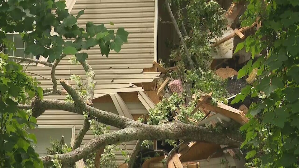 Fallen tree crushes home of cancer patient