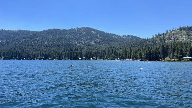 Man missing after jumping into Donner Lake over Memorial Day weekend