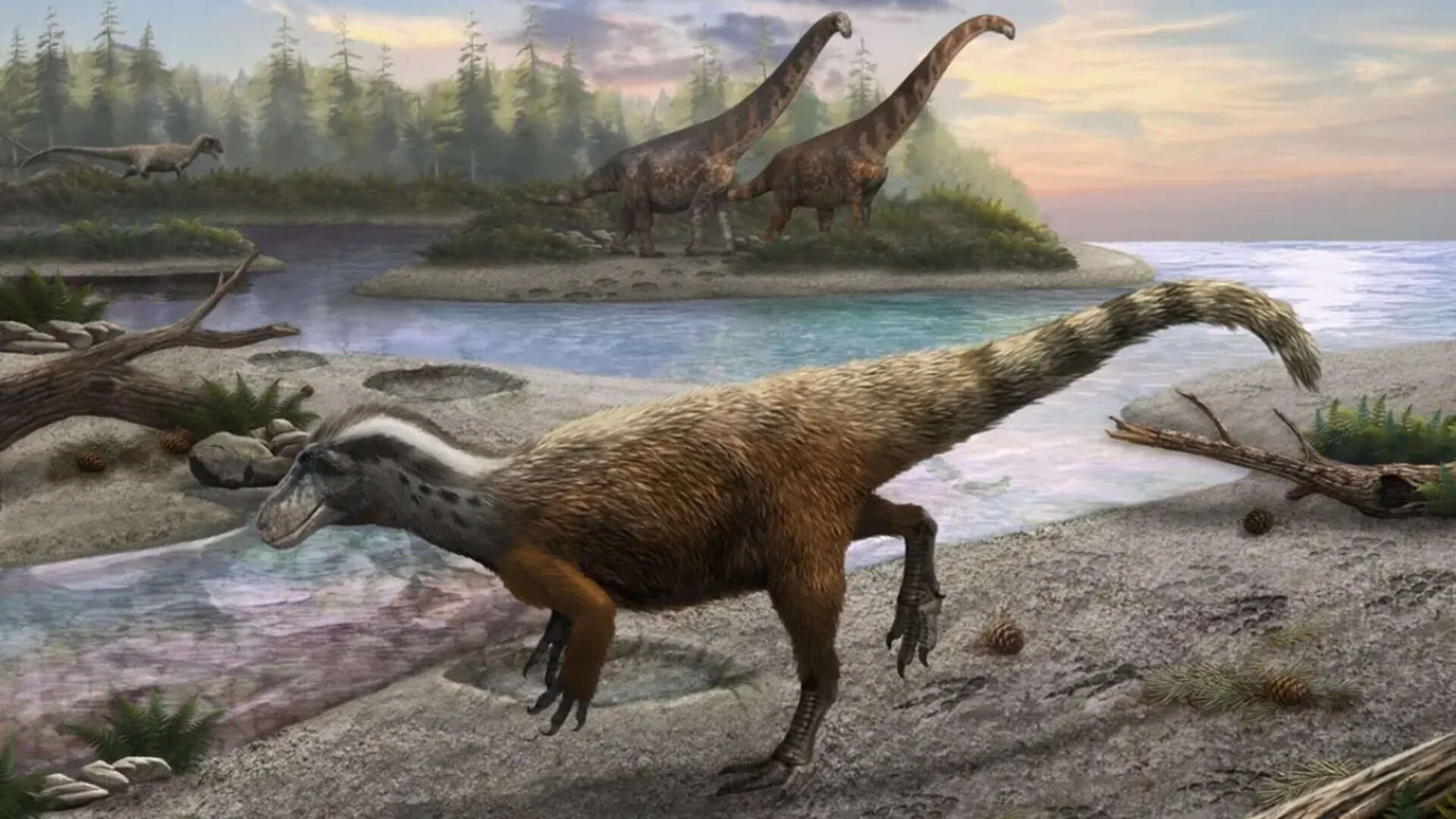 Slowest dinosaur walk ever? Giant footprint site in China rewrites what ...