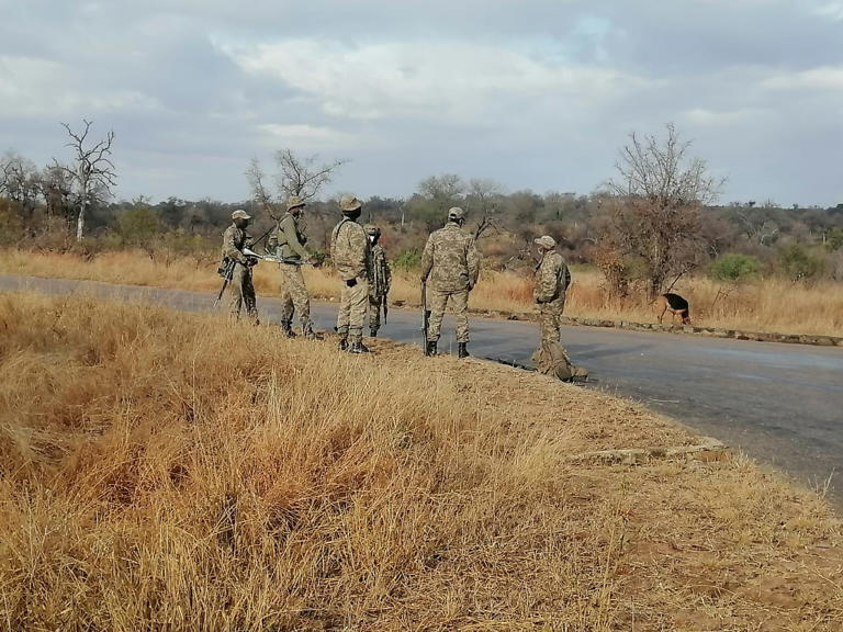 SANParks beefs up security after two tourists killed in Kruger
