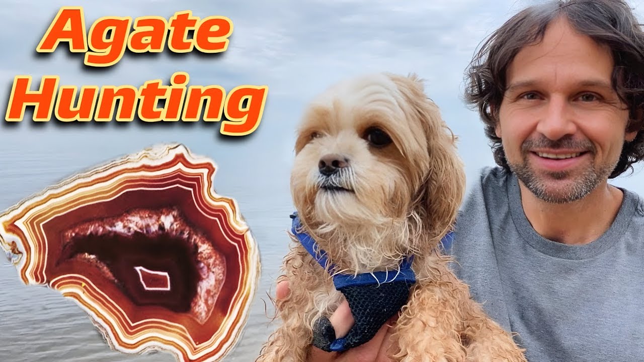 A rockhound dream | Lake Superior agate hunting!