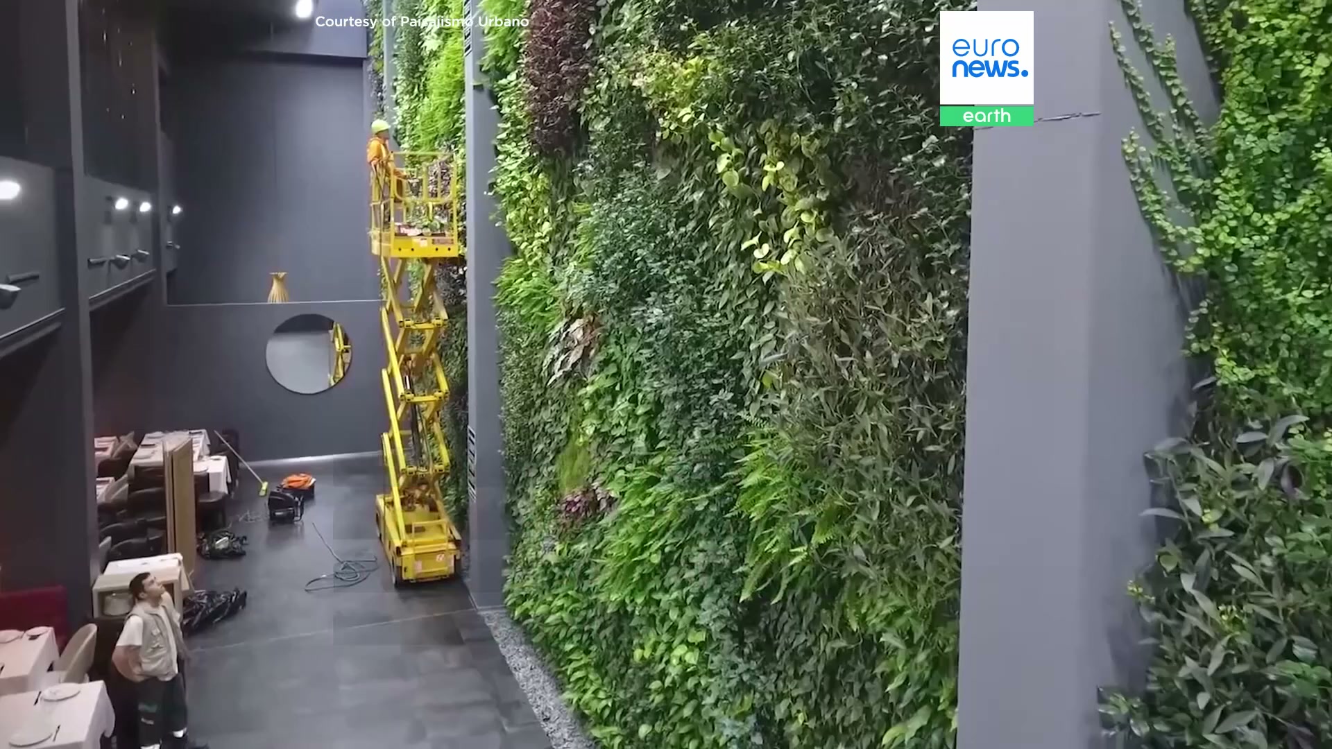 Vertical gardens are a practical – and beautiful – way to cool down cities