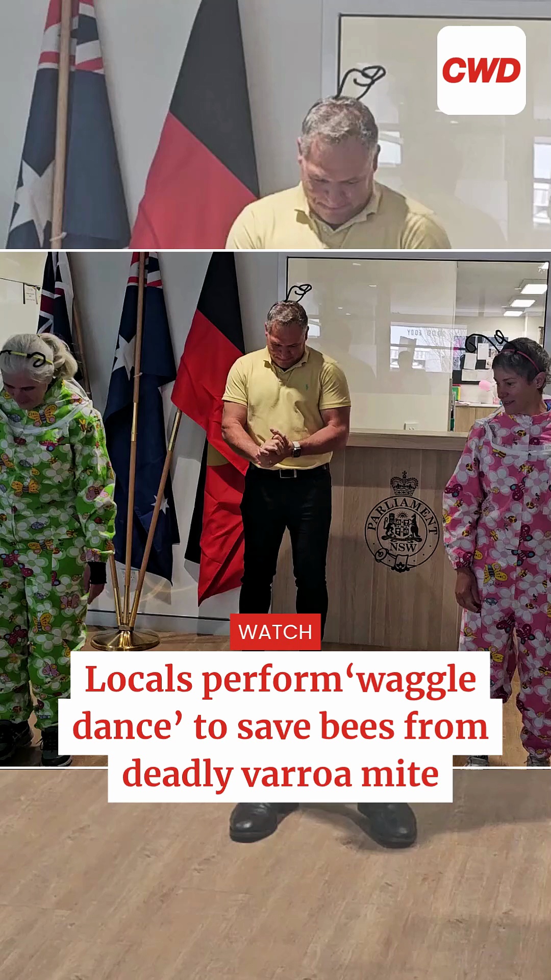 Dancing for the bees: Locals 'waggle' to fight varroa mite