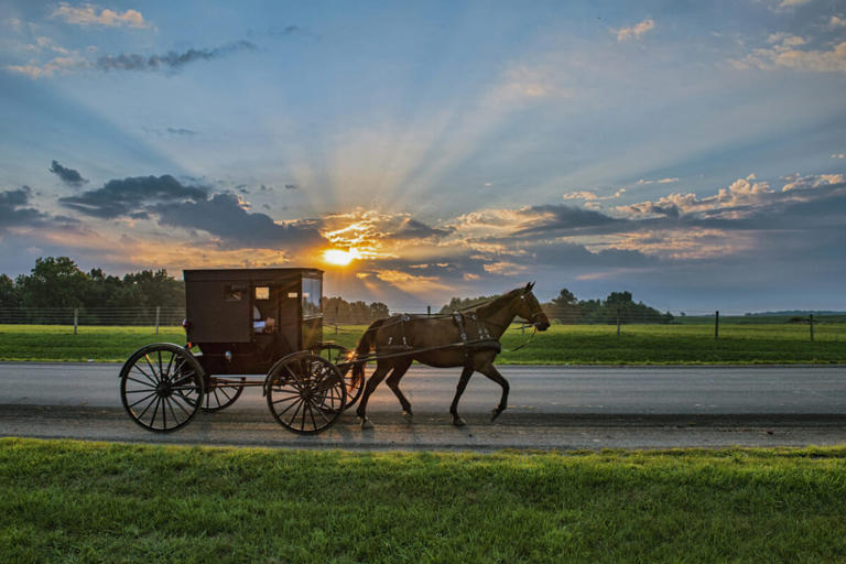 The vegetables keeping the Amish healthier