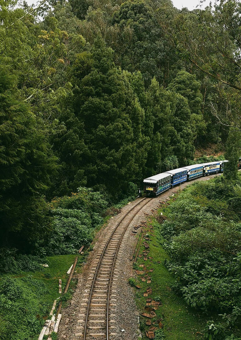 5 popular toy train experiences to bookmark in India