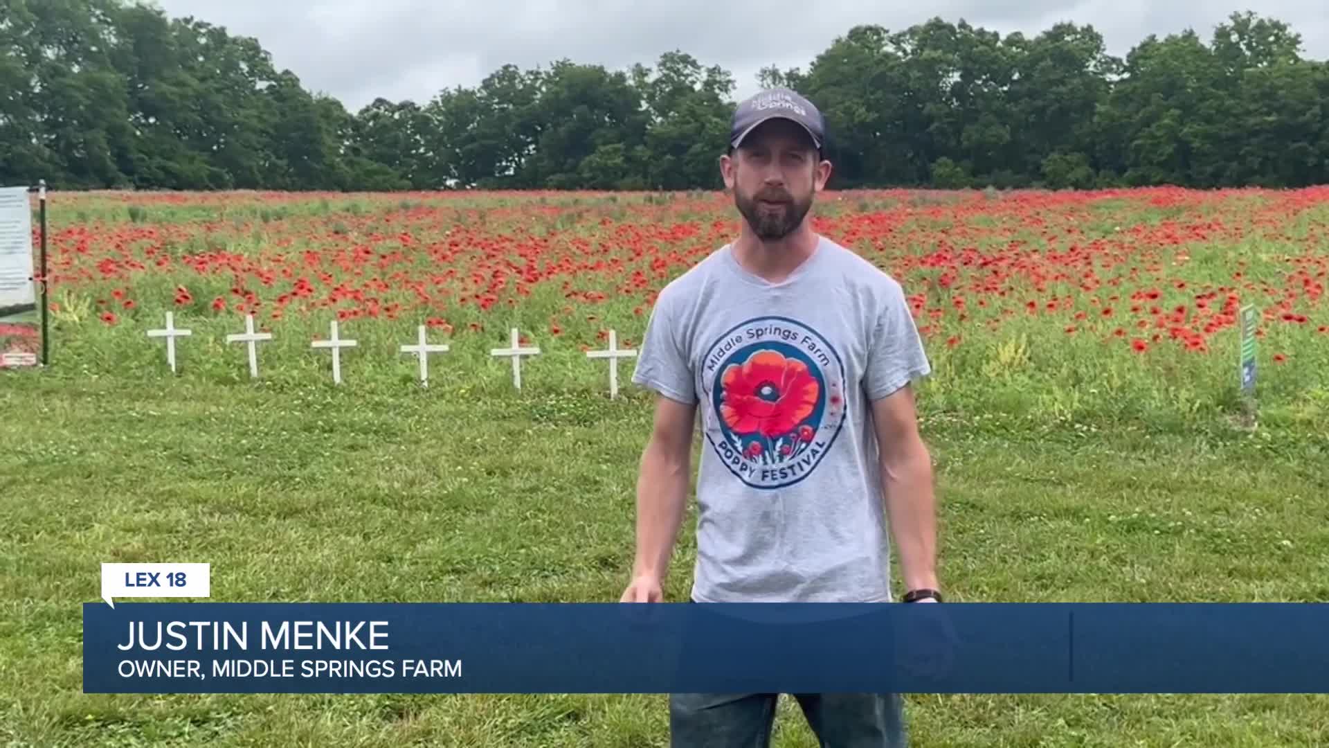 Middle Springs Farm poppy festival honors fallen soldiers with blooming ...