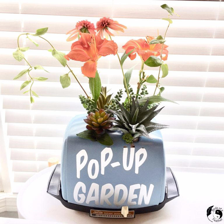 Unique kitchen crafts that add personality on a budget