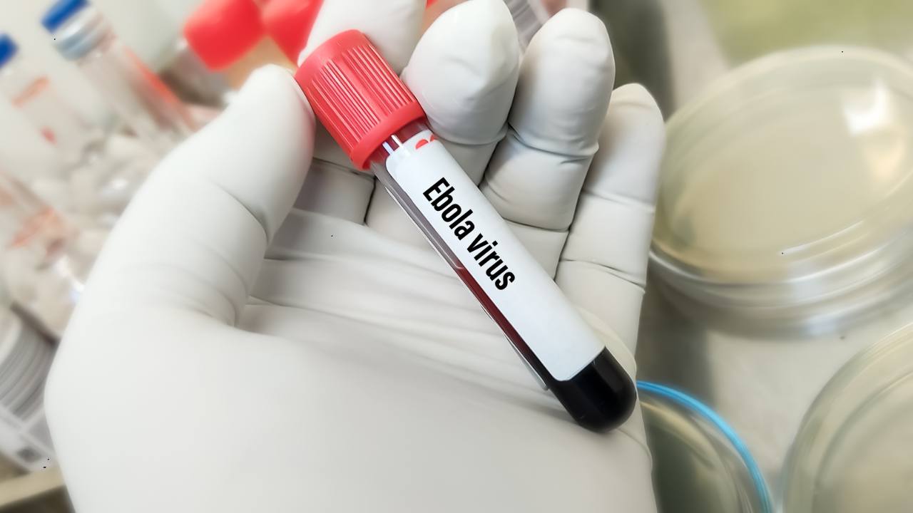 Ebola cases cross 900, death toll tops 200; 10 countries on high alert