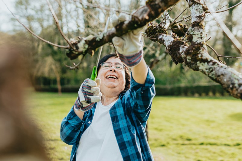 Mom cuts down daughter's tree after claiming it's blocking the view of ...