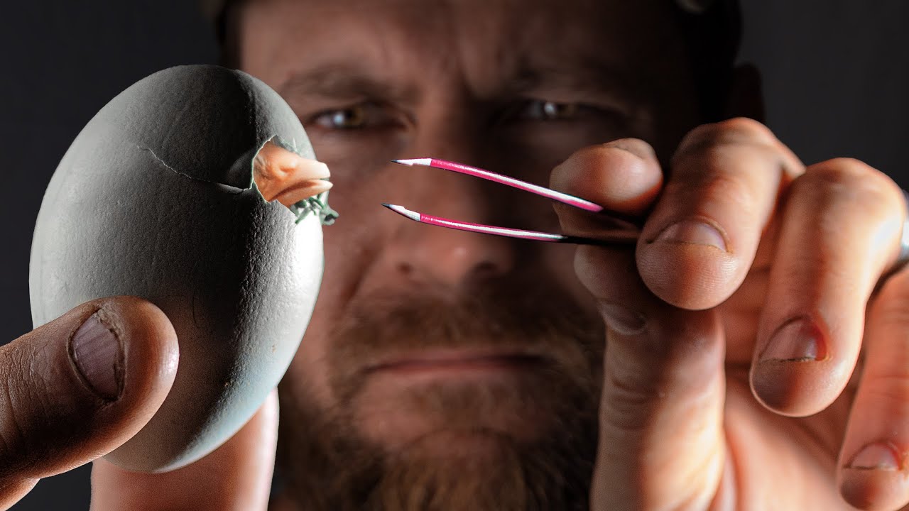 How to save a hatching egg