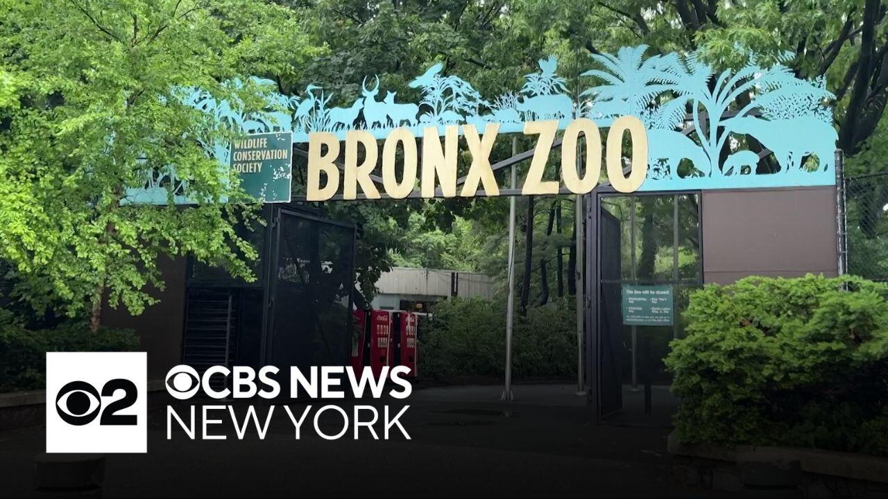 Animal keeper injured after being nipped by reptile at Bronx Zoo