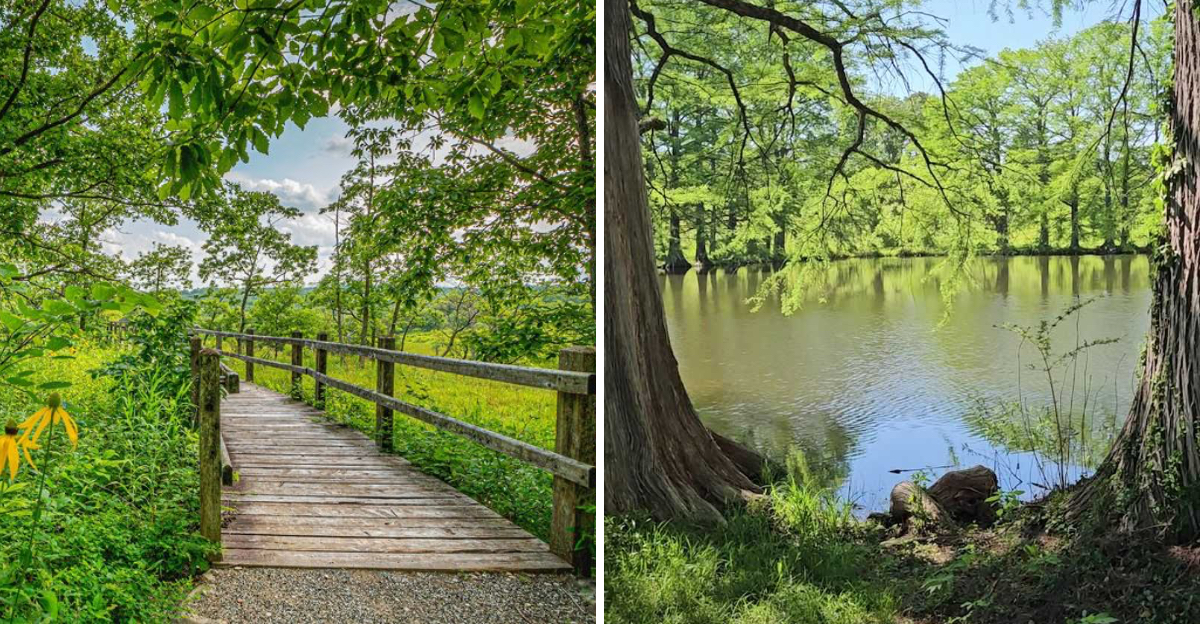 One of Missouri’s most beautiful botanical gardens, and hardly anyone ...