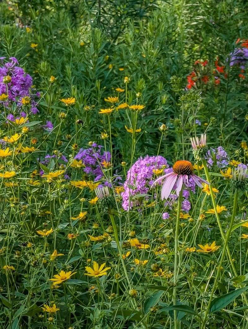 One of Missouri’s most beautiful botanical gardens, and hardly anyone ...