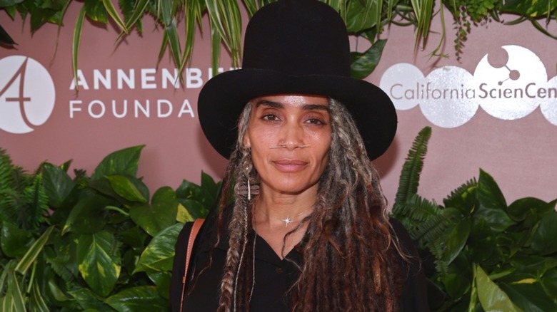 Lisa Bonet's stunning gray hair evolution, in photos
