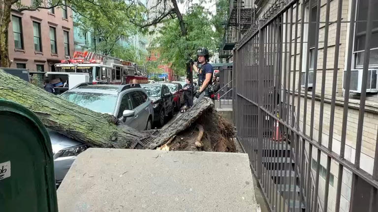“It sounded like a bomb going off”: Tree smashes into Amazon cargo bike ...