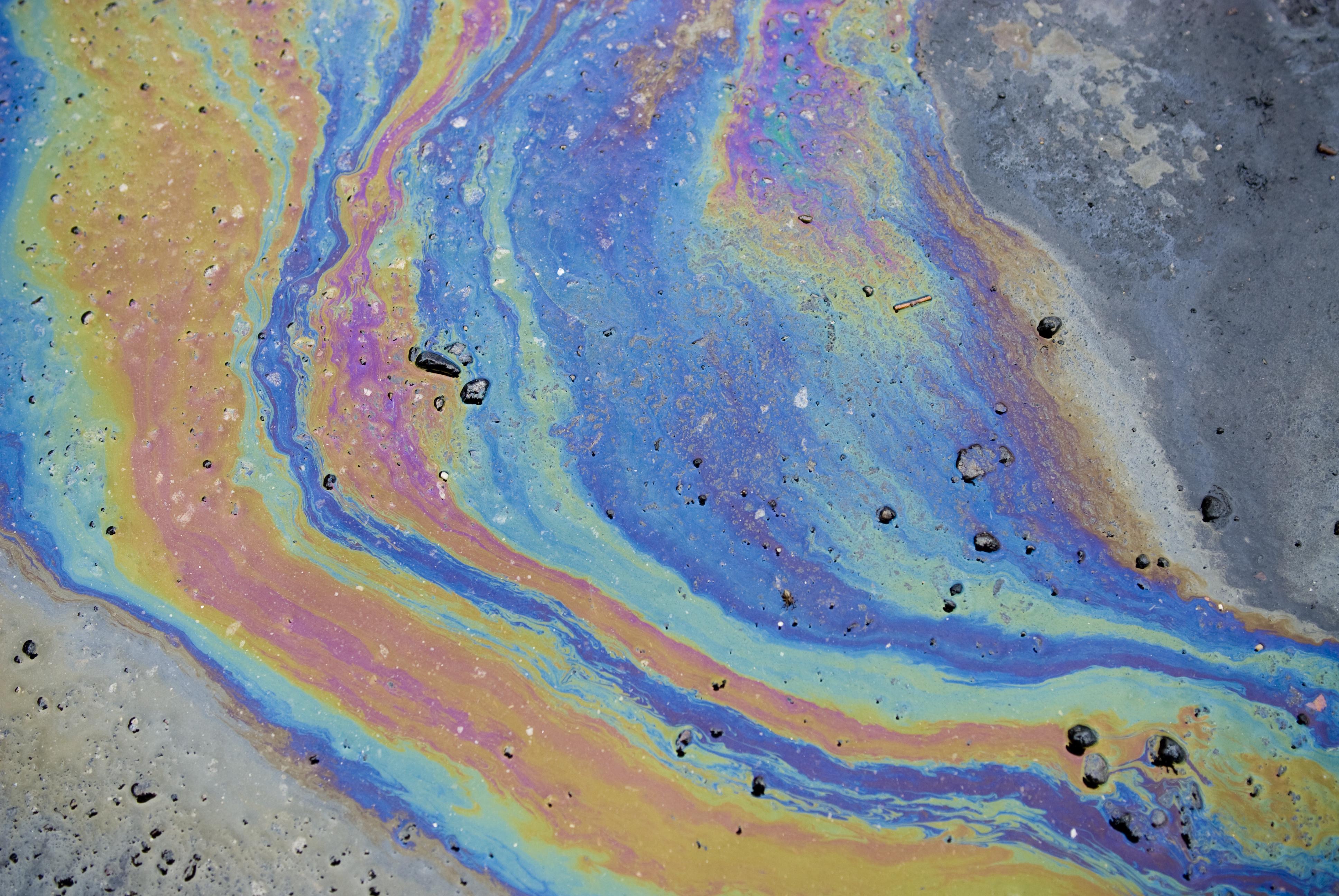 Oil spill in East Los Angeles injures birds in LA River