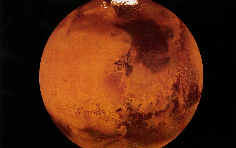 Fungi research could make Martian soil suitable for farming