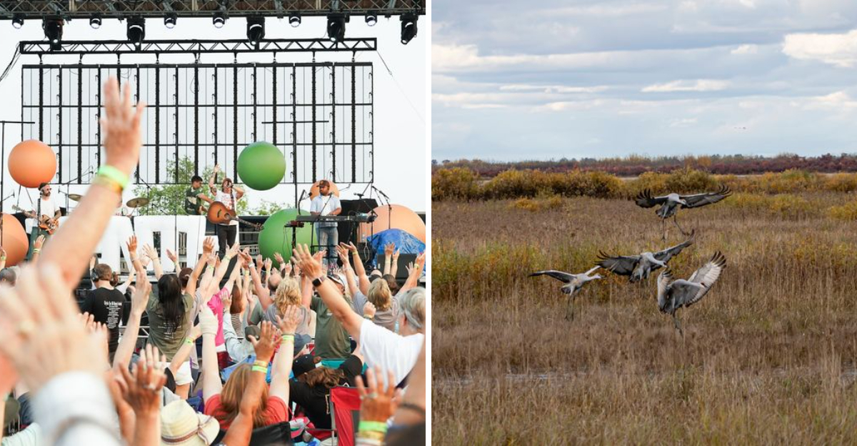 10 Minnesota spring bucket list experiences you can’t find anywhere else
