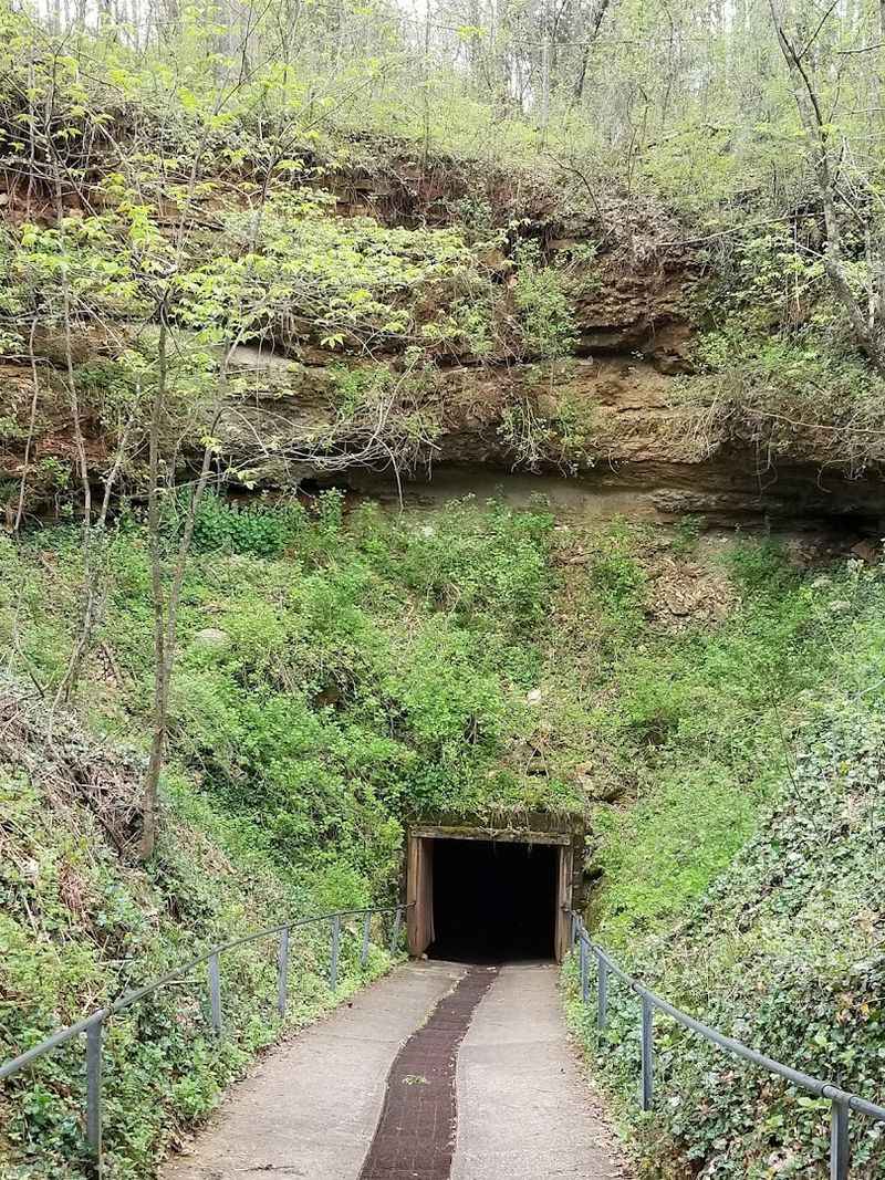 8 bizarre Indiana nature wonders that prove our state isn’t just flat ...