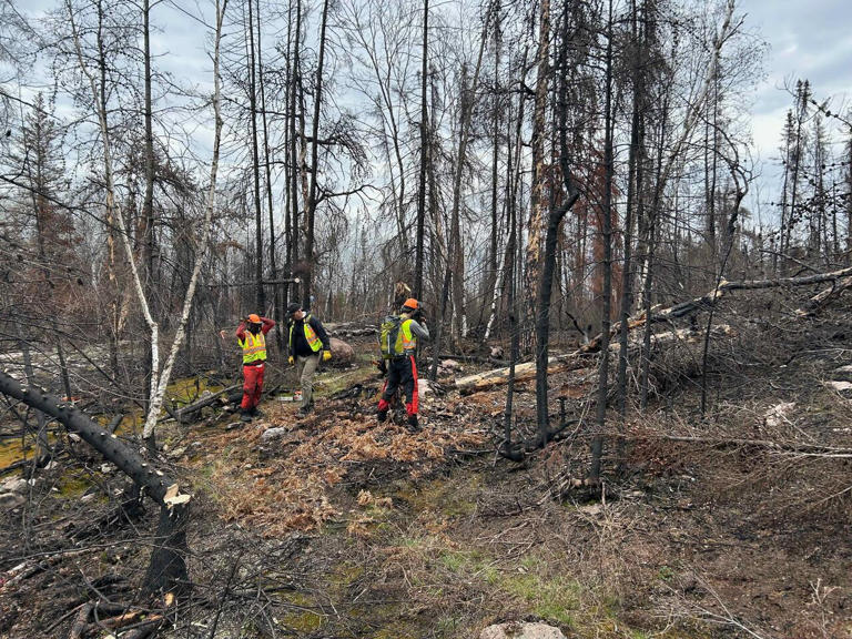 Mantario Trail expected to reopen in late June after 'remarkable ...