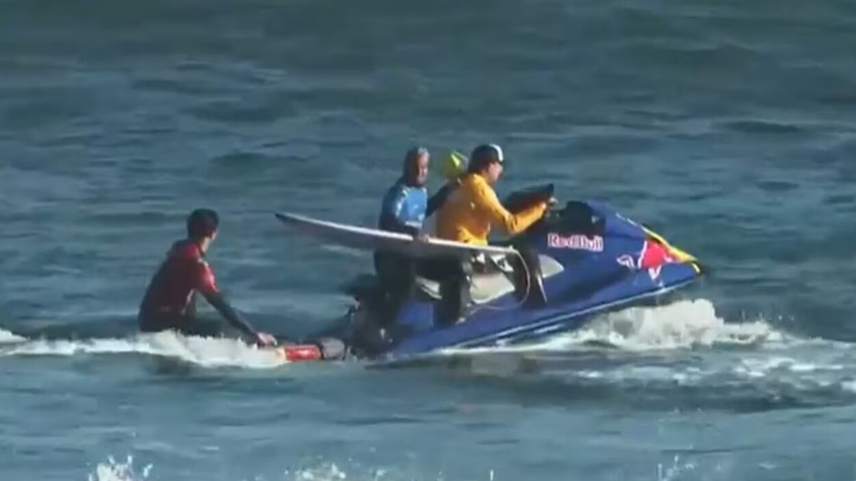 Pro surfing event in New Zealand put on hold after apparent seal attack ...