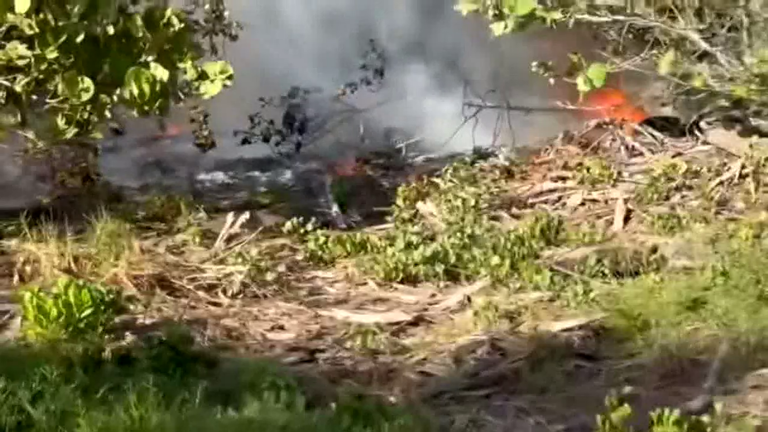Egmont Key fire sends plumes of dark smoke across the water
