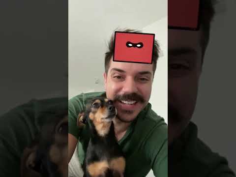 Bica adivinhando filmes