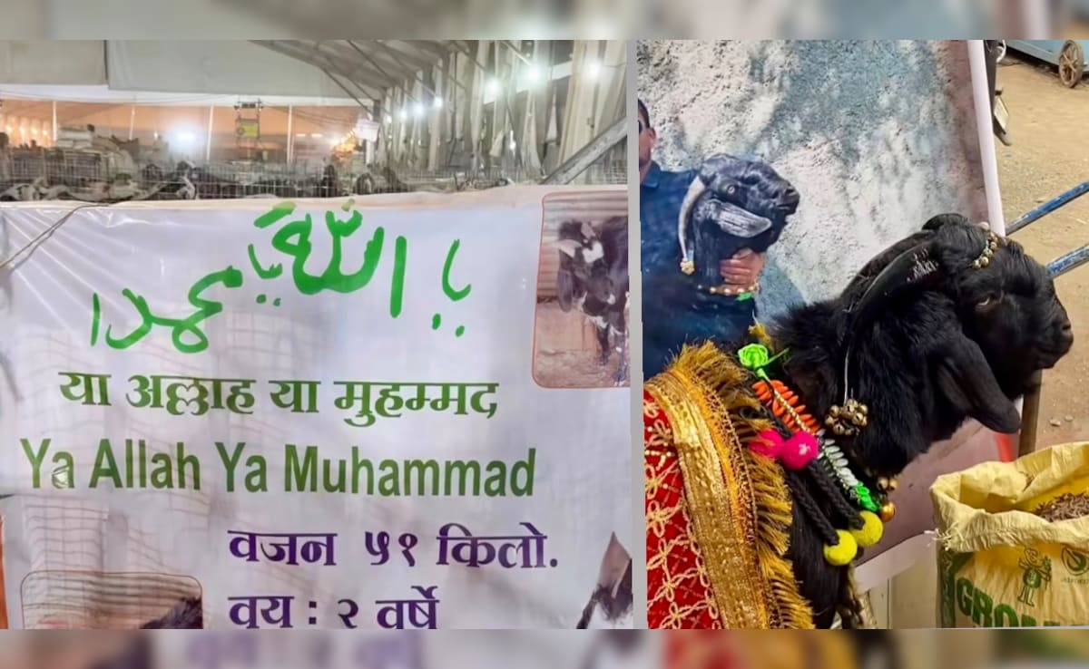 Rs 51 lakh to Rs 4 crore! Bakra prices soar ahead of Eid al-Adha ...