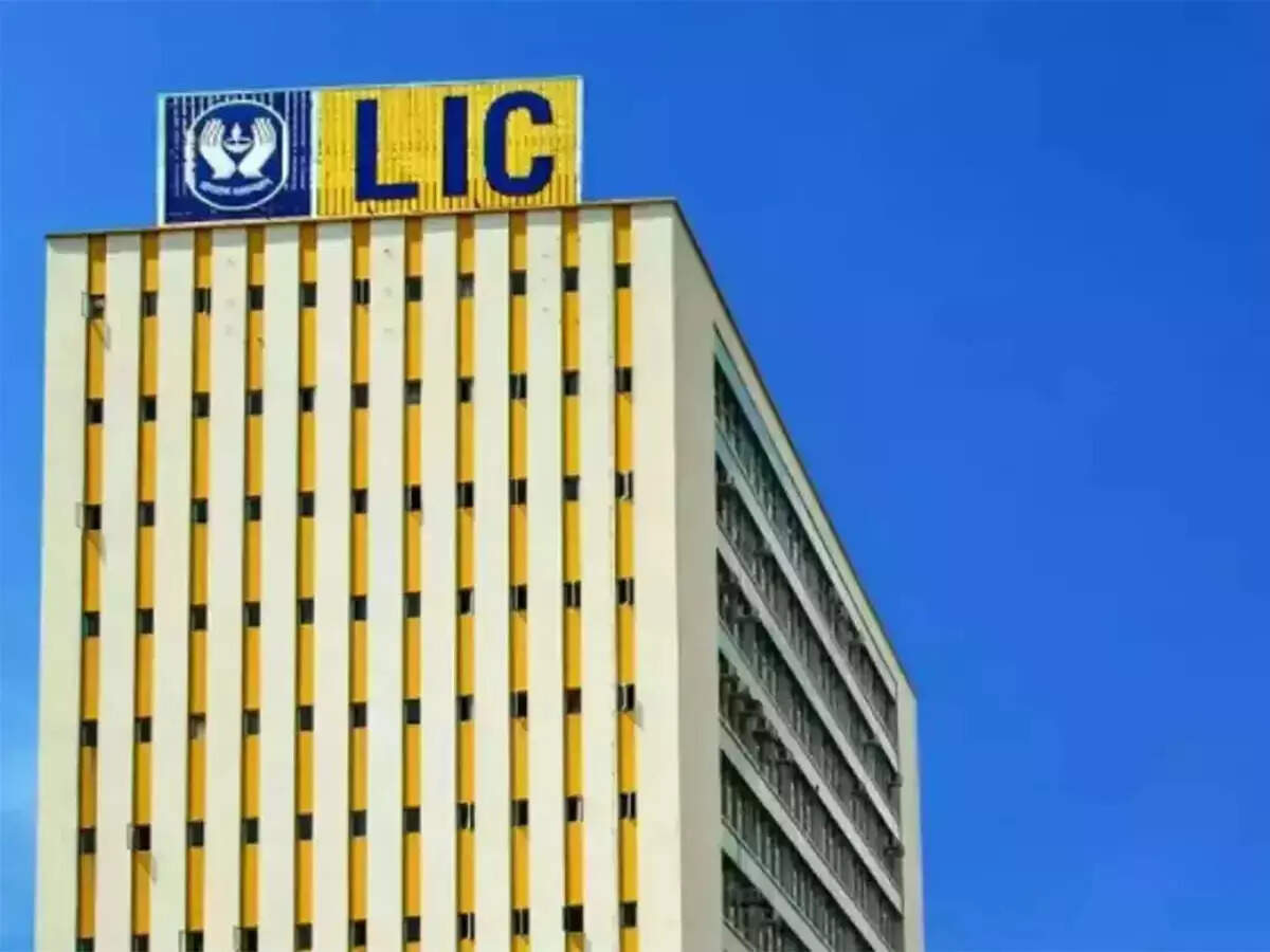 LIC shares gain 6% in two sessions. Should you buy ahead of the 1:1 ...
