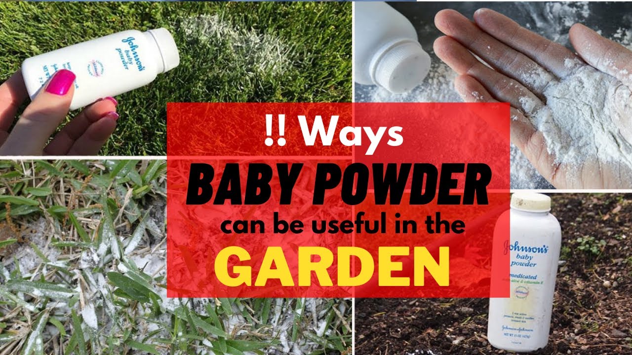 Simple baby powder garden hacks every gardener should try