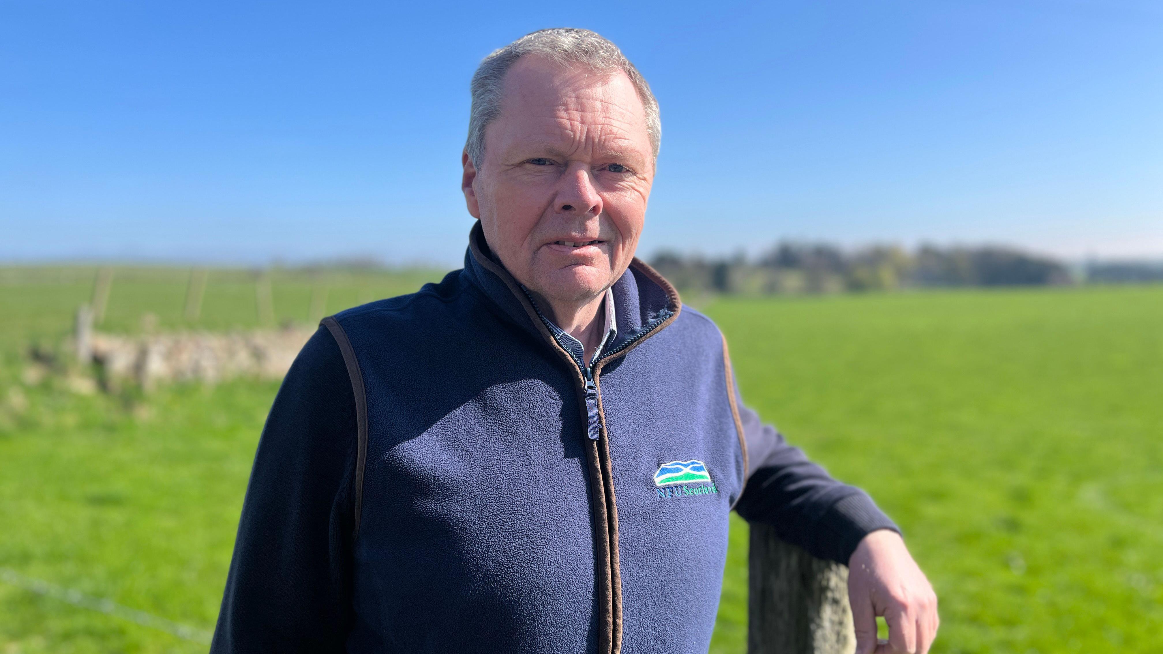 'Our industry is at breaking point,' claim Scottish pig farmers