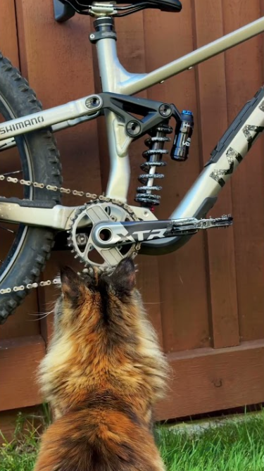 Dialing in suspension & tire pressure for the perfect ride setup