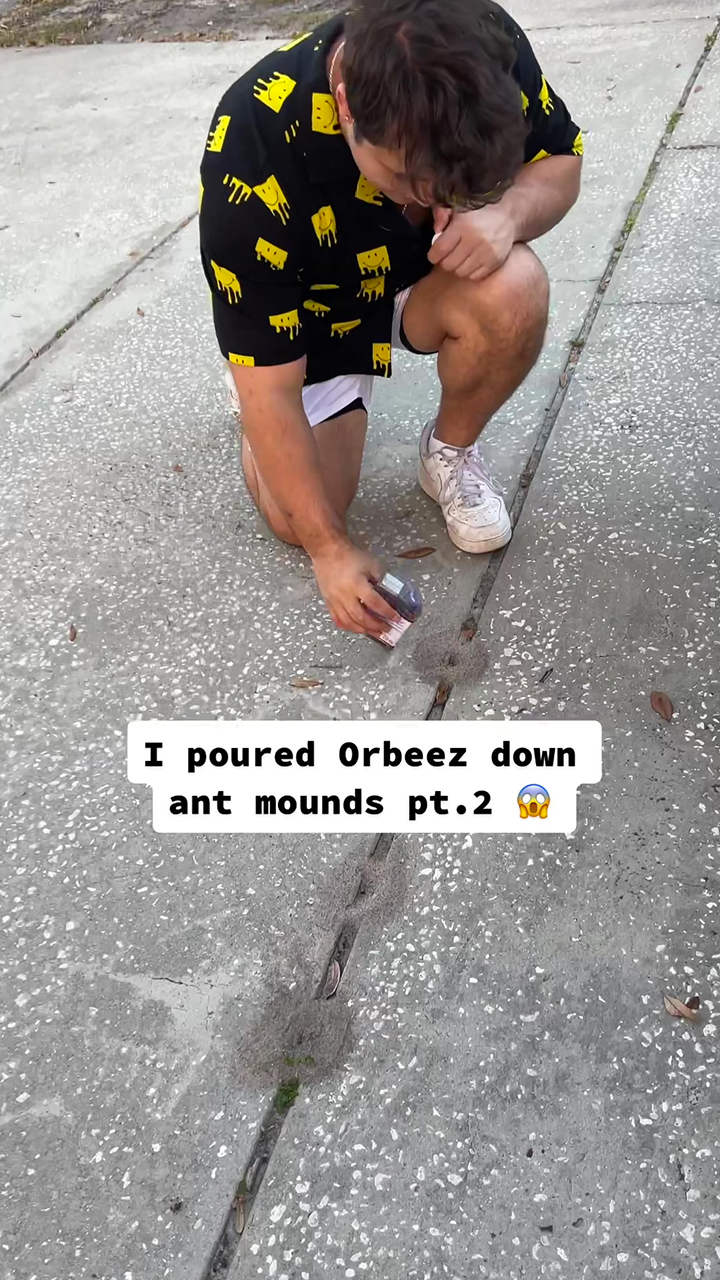 Funny backyard experiment: pouring Orbeez into the ground