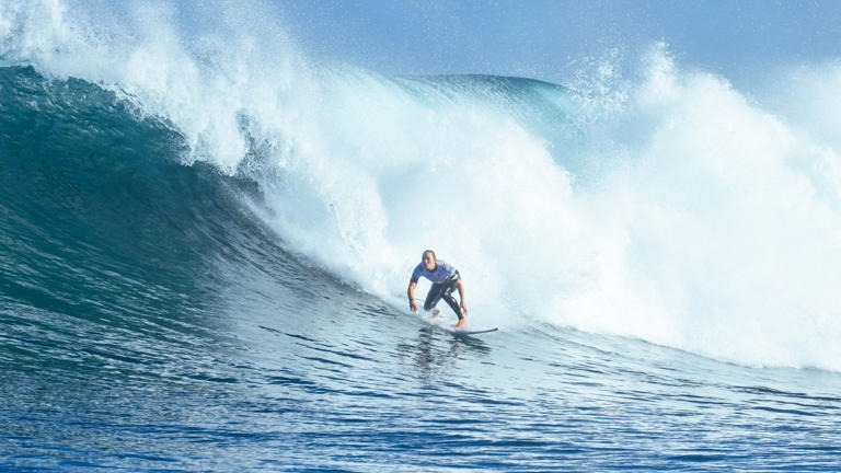 Surf competition halted after unknown sea creature bites photographer ...
