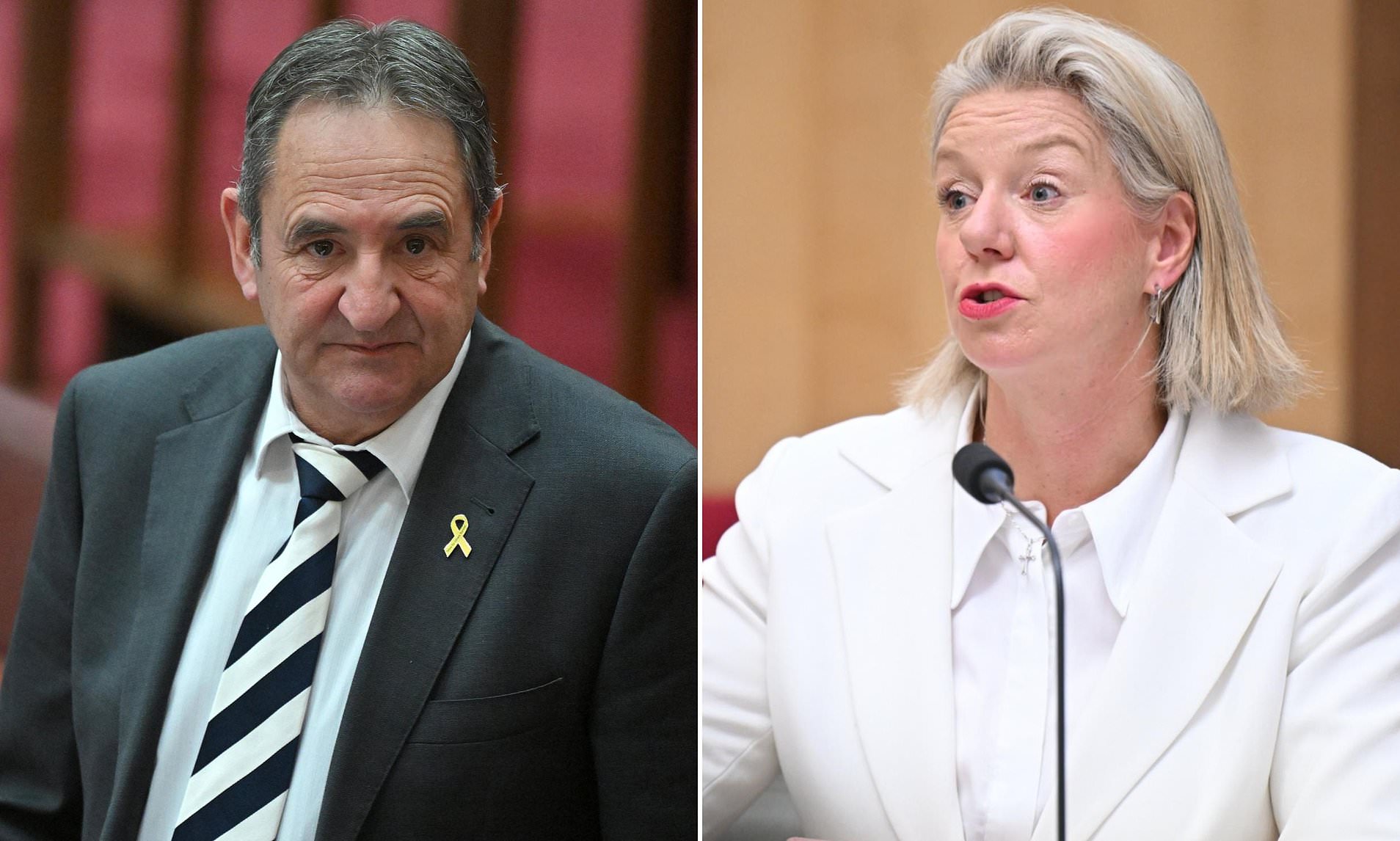 Nationals Senator Bridget McKenzie vows to escalate 'cut you up ...
