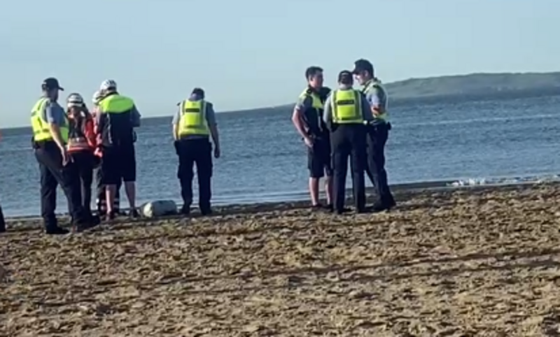 Body of teenage girl recovered from water off Burrow Beach in Dublin