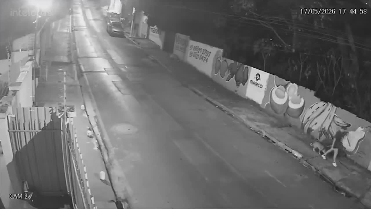 Dog walker falls into drainage hole after pavement suddenly collapses ...