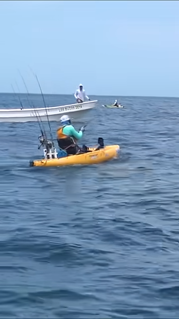 Monster fish flips kayak and sends angler into fight for life, caught ...