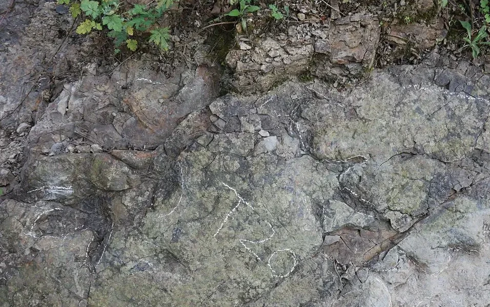 China site reveals slowest-known carnivorous dinosaur walking speed