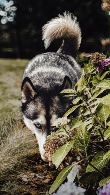 So there’s that funny husky moment