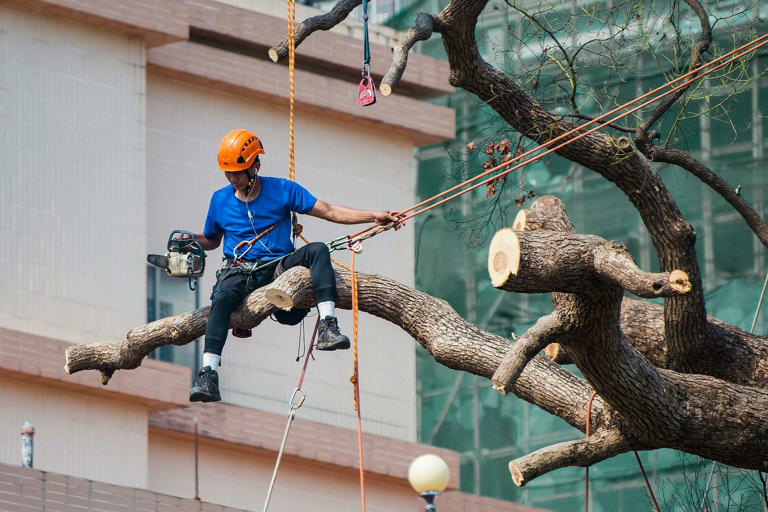 Former athlete overcomes fear of heights to become China’s first female ...