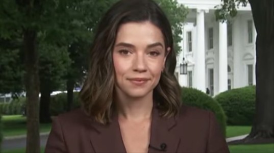 NBC reporter laughs off meme status over shooting