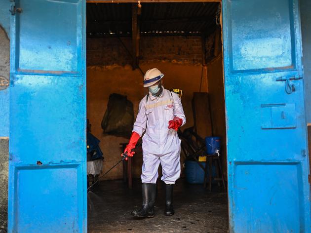 Ebola-Ausbruch: WHO meldet über 900 Verdachtsfälle – Virus ...