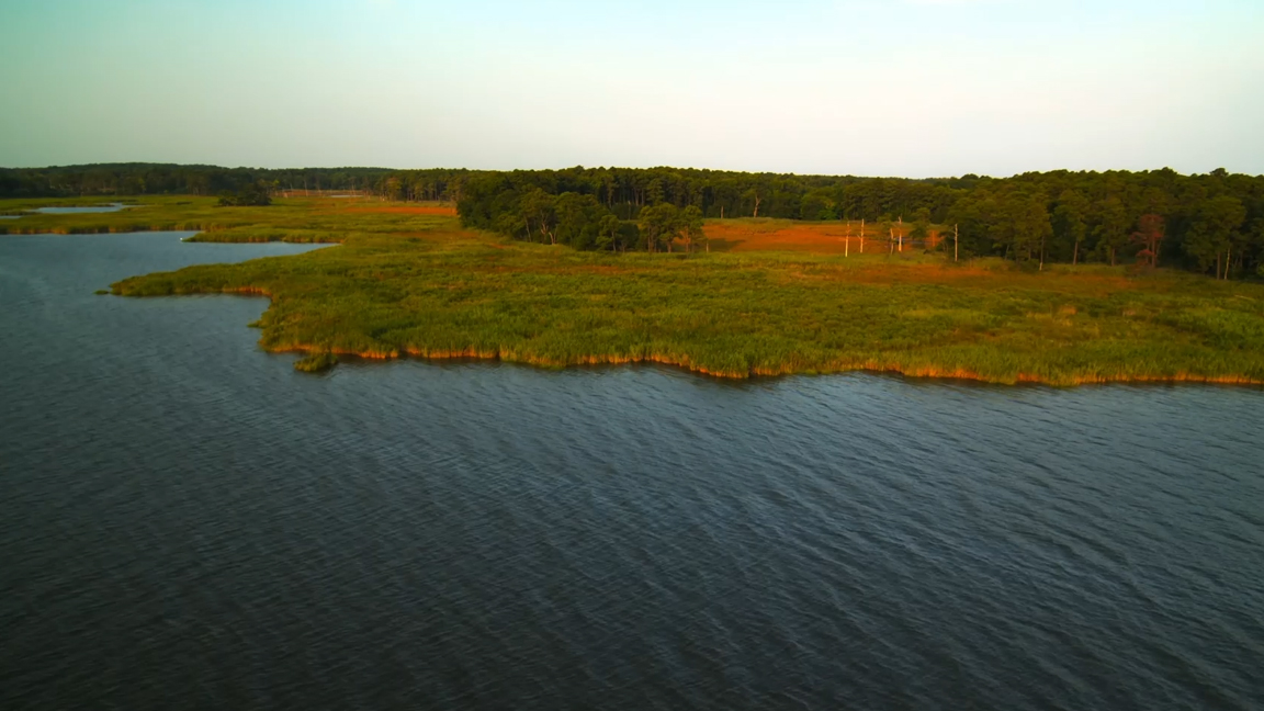 A forgotten coastal landscape hidden beyond the forest
