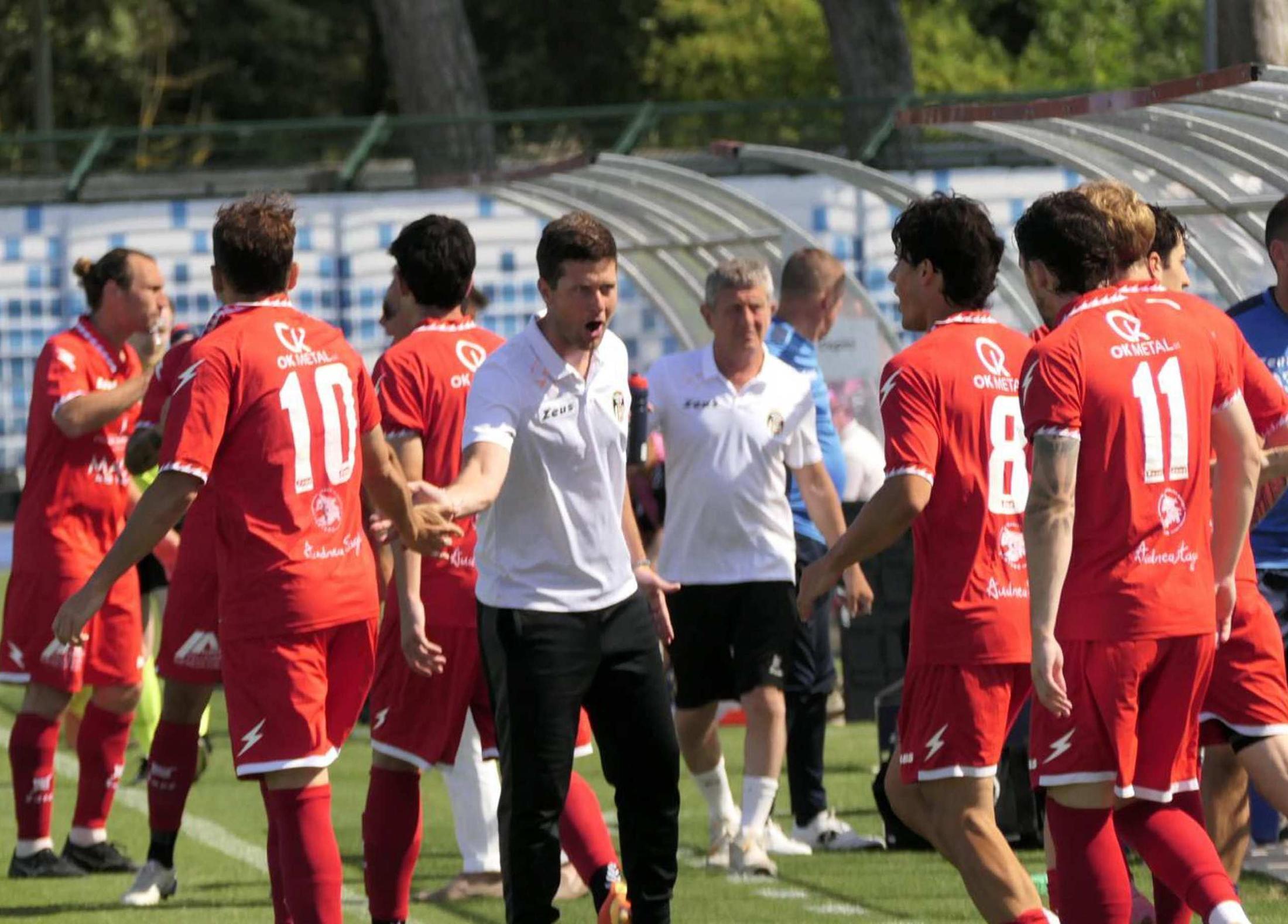 Zebre, amaro in bocca a fine gara: "Puniti solo da un episodio dubbio"