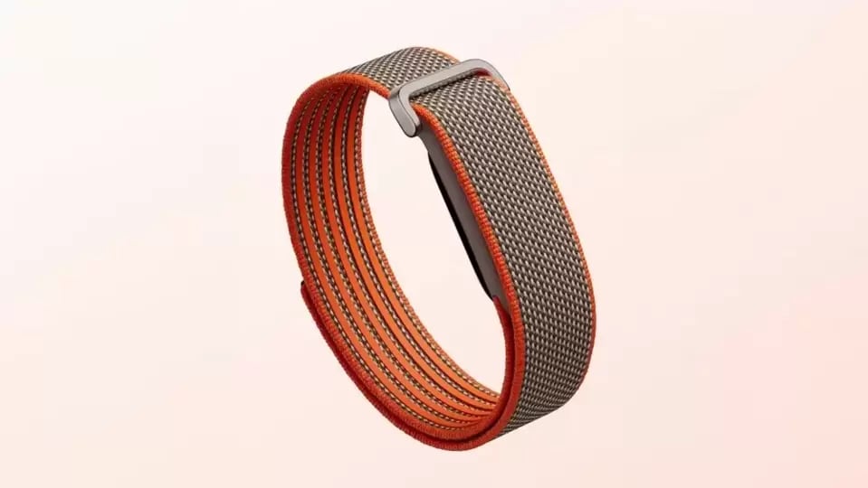 Early Google Fitbit Air buyers unable to use tracker due to missing ...