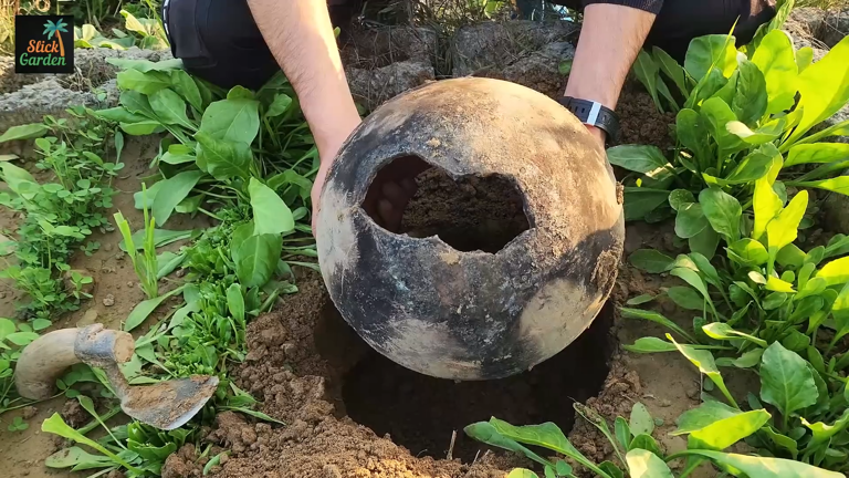 I started burying old terracotta pots in my garden and the soil ...