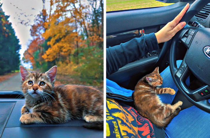 14 real delivery moments that quietly prove kindness and laughter still ...