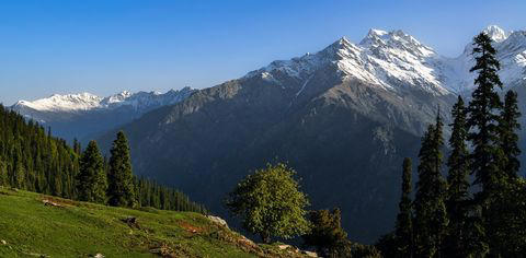 Where tea gardens meet the Dhauladhars: Your perfect escape to Palampur